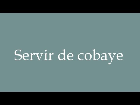 How to Pronounce ''Servir de cobaye'' (Serving as a guinea pig) Correctly in French