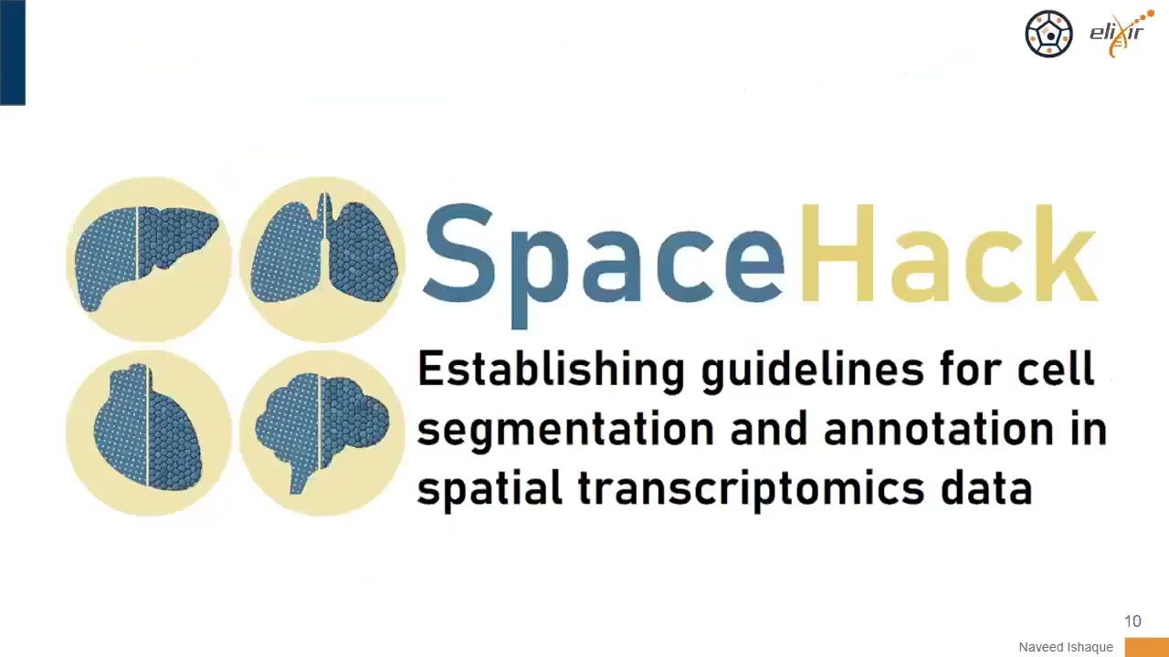 3 Spatial transcriptomics challenges and using de.NBI cloud for a hackathon