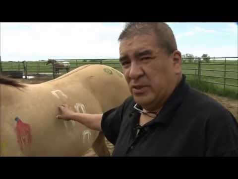 Lakota horse symbols with Steven Tamayo | Dakota Life