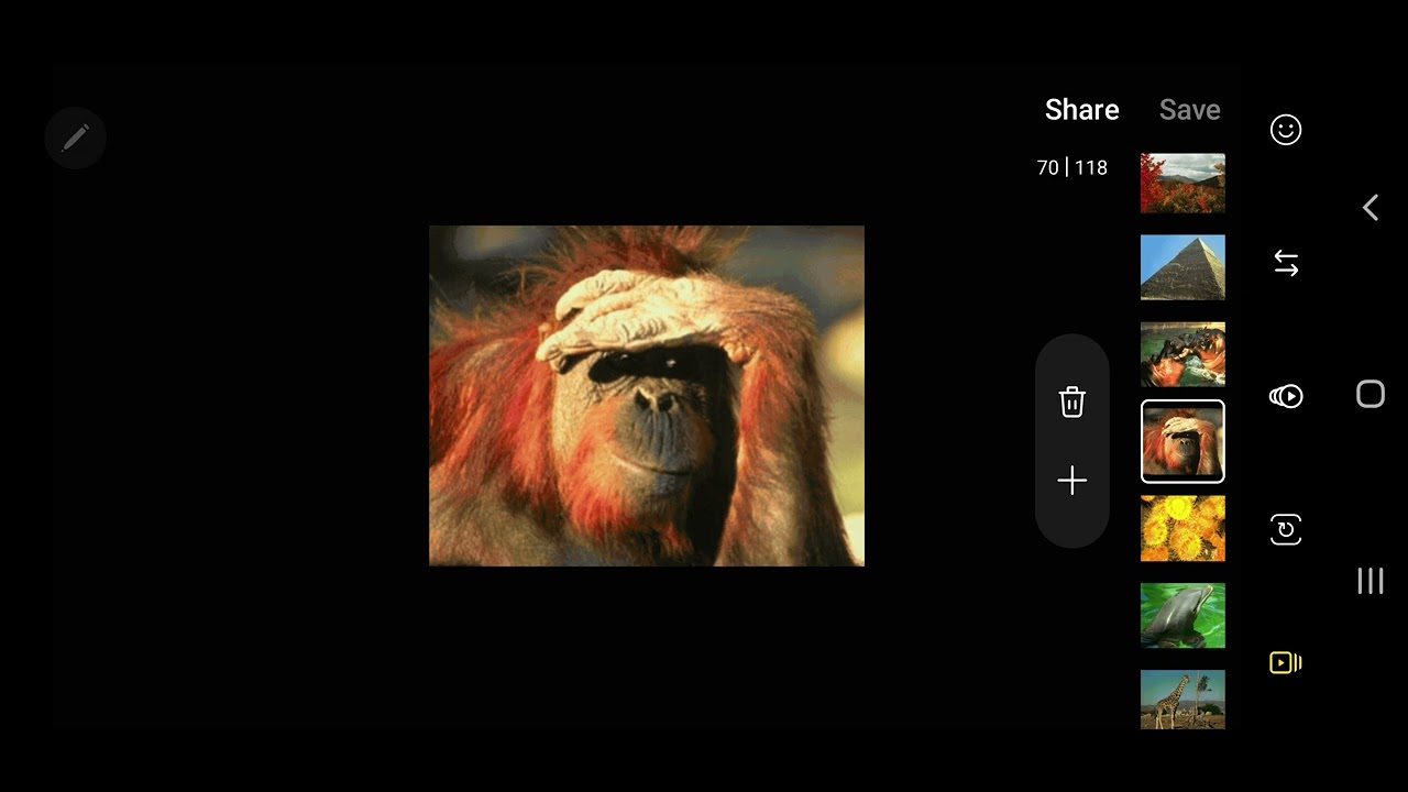 Jumpstart Kindergarten Puzzles Pictures 118/118