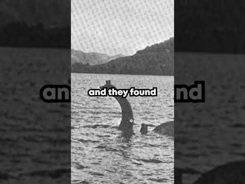 The largest hunt for Nessie has just concluded and they found... #nessie #lochnessmonster #cryptids