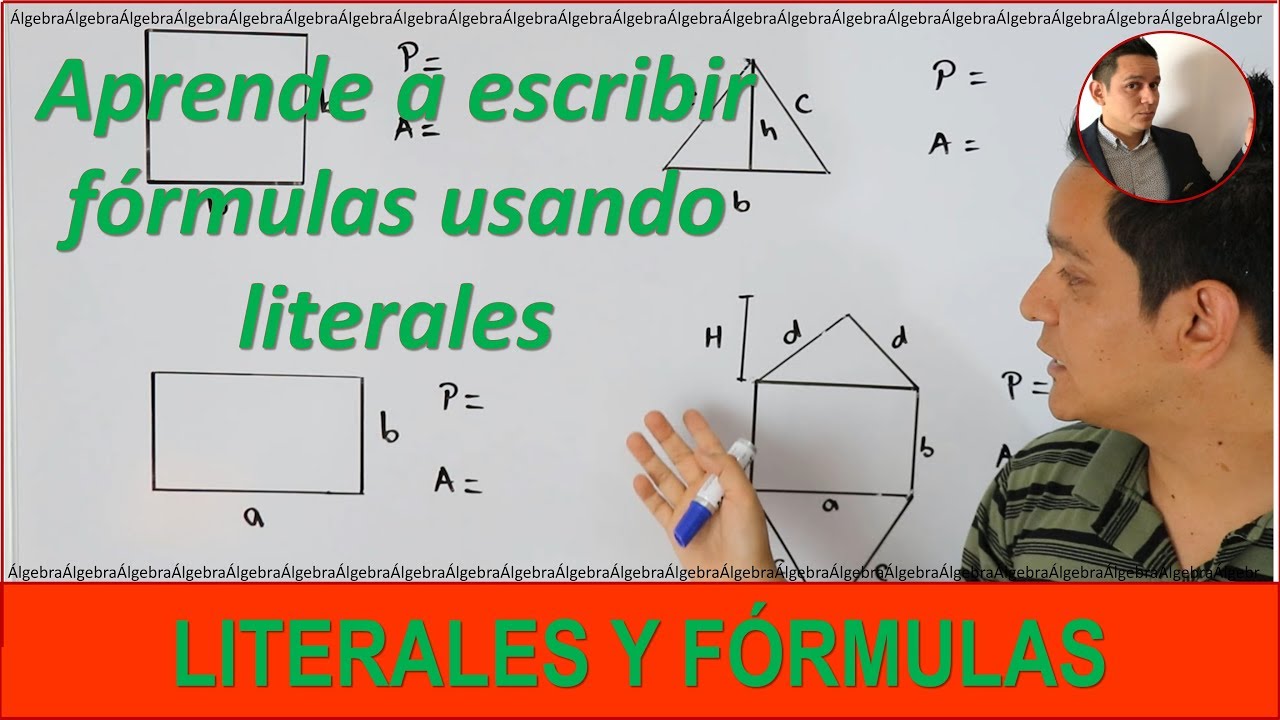 Literals and Formulas: An Introduction