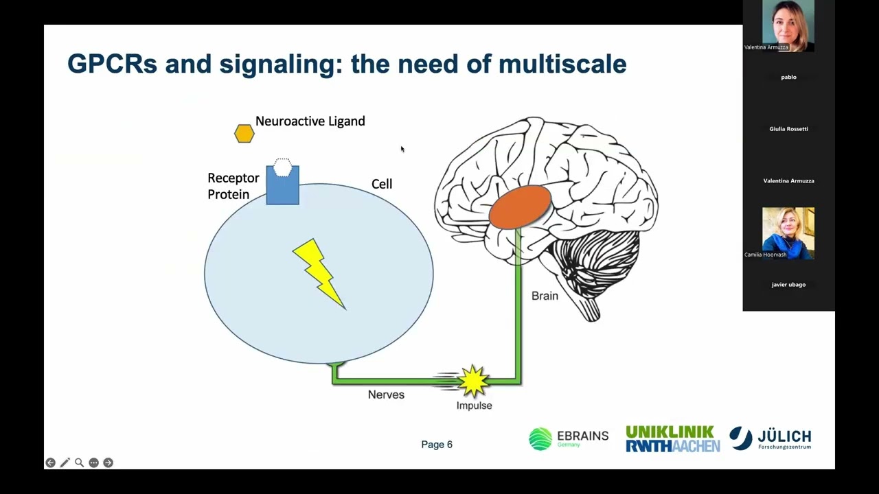 EduBrains – Module 3 - Neuroscience concepts for e-health - Day 4 (March 19, 2026)