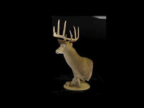 8800 Series Whitetail video2