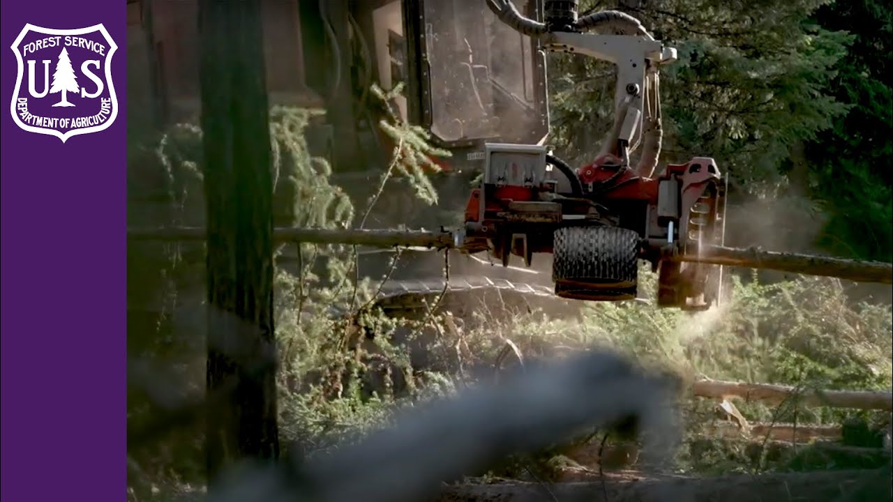Good Neighbor Authority: The Jackknife Project, a story of forest management