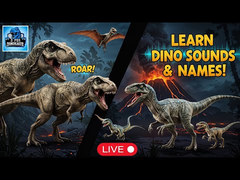 Learn Dinosaur Names and Sounds with Real Videos | T-Rex, Spinosaurus, Velociraptor Live