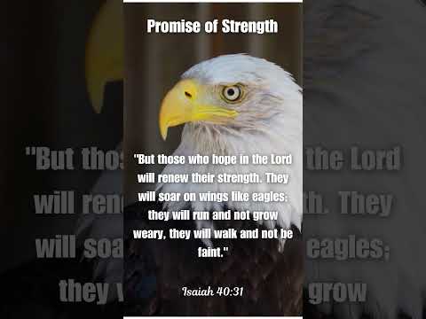 Shining a Light on daily bible verses