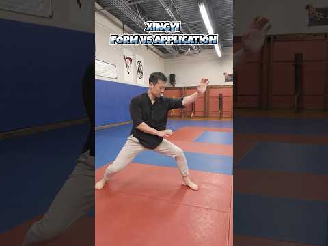 XingYi Form vs Application! #kungfu #shorts #selfdefense #xingyi
