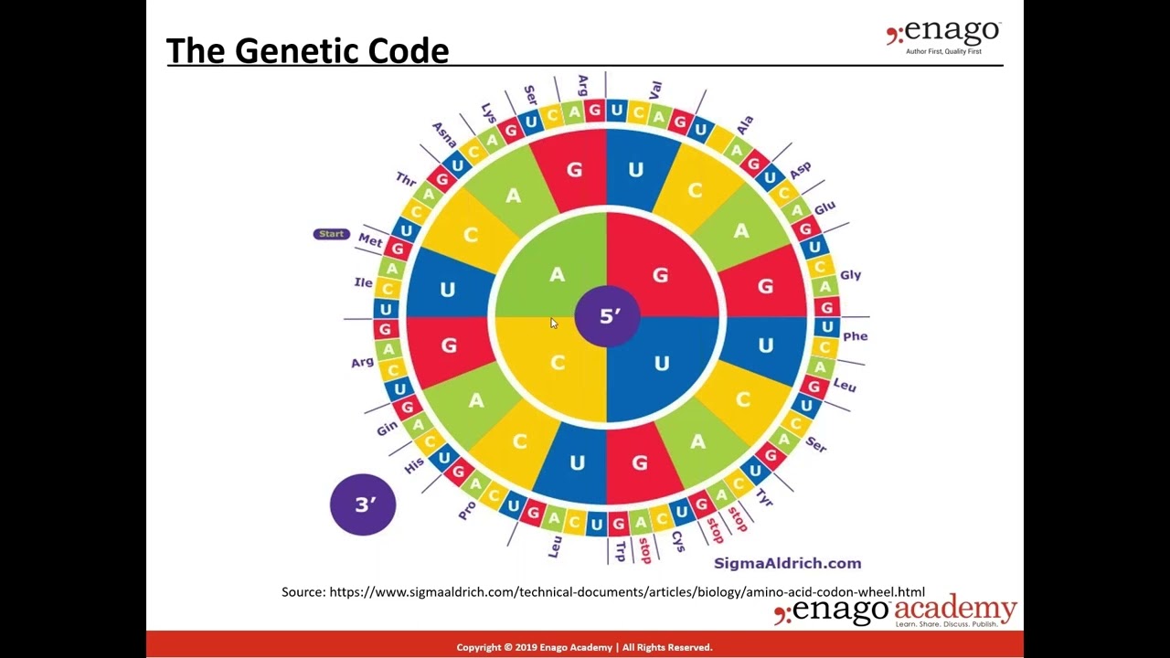 A Beginner’s Guide to Bioinformatics: Key Concepts, Tools & Databases Explained