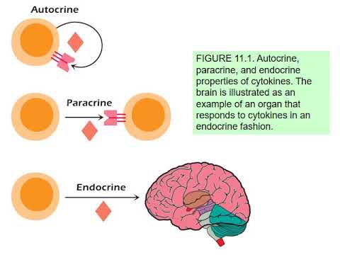 Cytokines