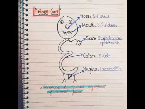 Normal microbial Flora|easy way to remember normal Flora