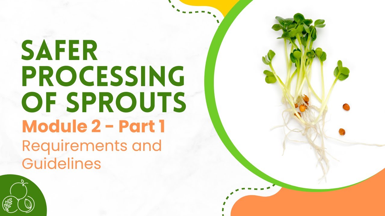 Sprouts: Module 2 | Requirements and Guidelines | Part 1