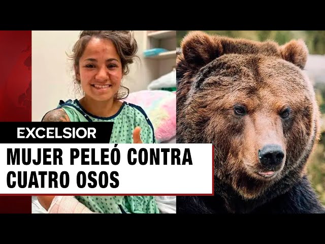 Dos osos escapan y se dan un festín de miel digno de Winnie the Pooh