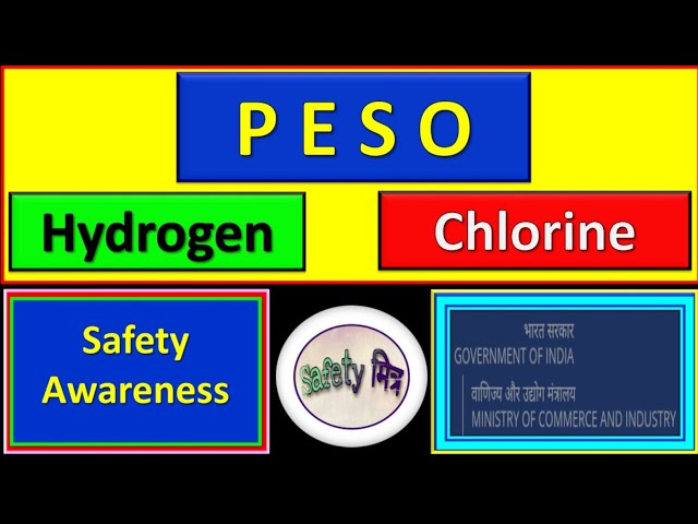 PESO - Peso Licences Services Service Provider from Faridabad