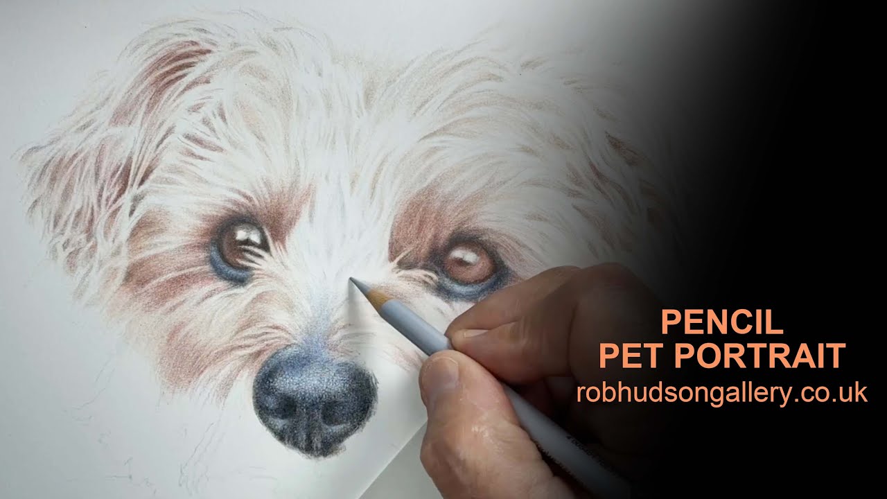 Coloured pencil portrait of Tyson