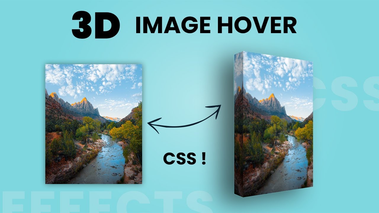 CSS 3D Image Hover Effects | Html CSS 3D Hover Effects