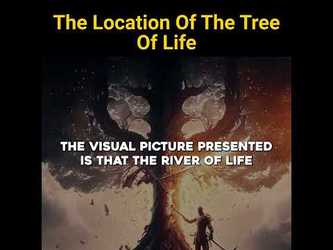 The Location Of The Tree Of Life