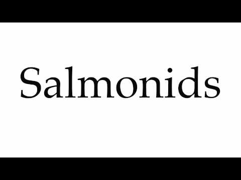 How to Pronounce Salmonids
