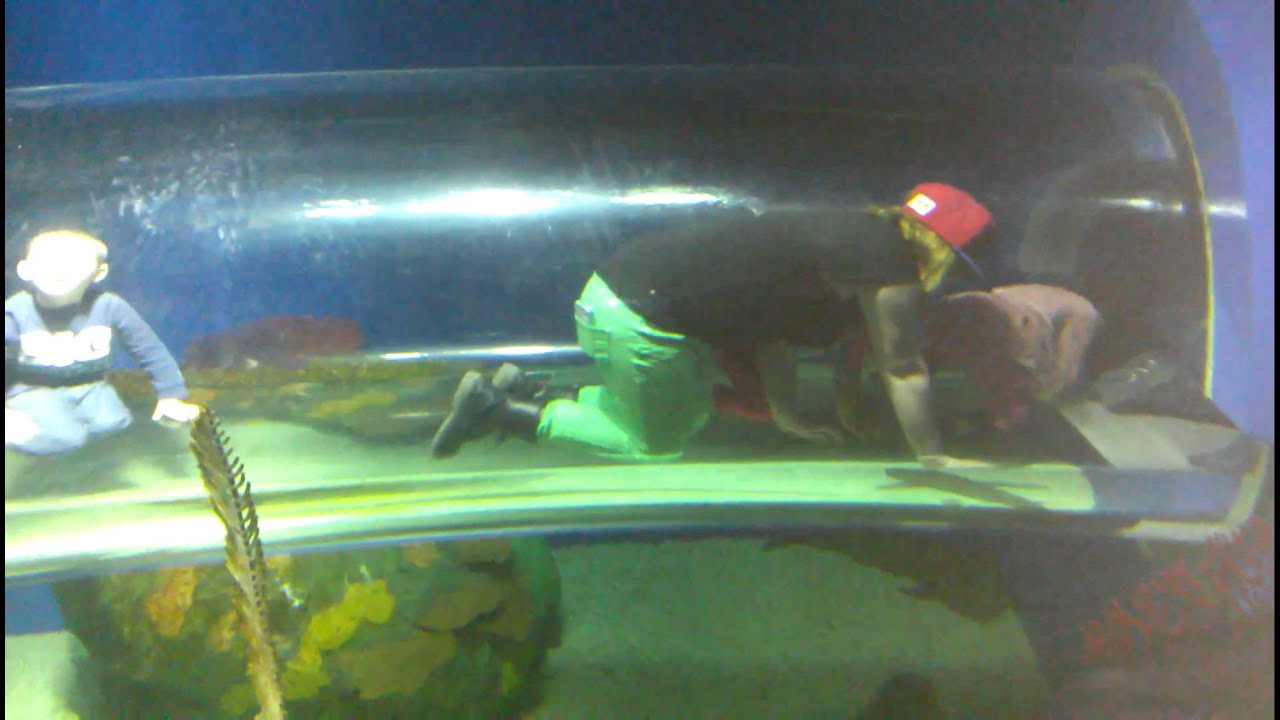 CAM00813.mp4
