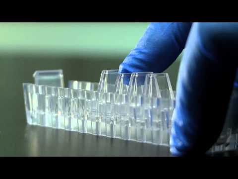 Xcell Surelock Mini Cell Manual – Blue Every Day