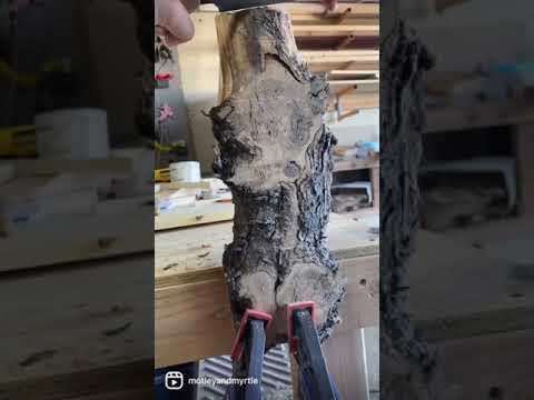 Live Edge Wood Clean up - Woodworking Tips and Tricks #shorts