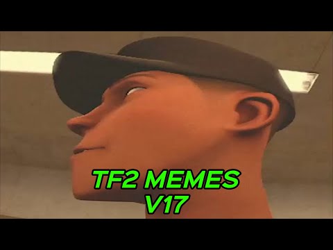 TF2 MEMES V17