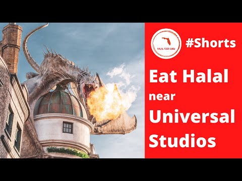 Halal Eats for Universal Studio Fans in Orlando. 3 Halal Restaurants you won't want to miss.