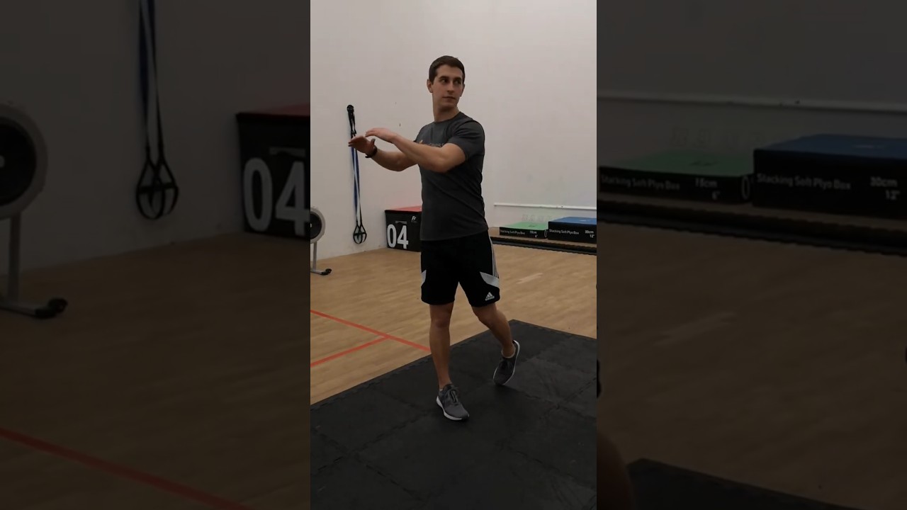 Torso Rotations