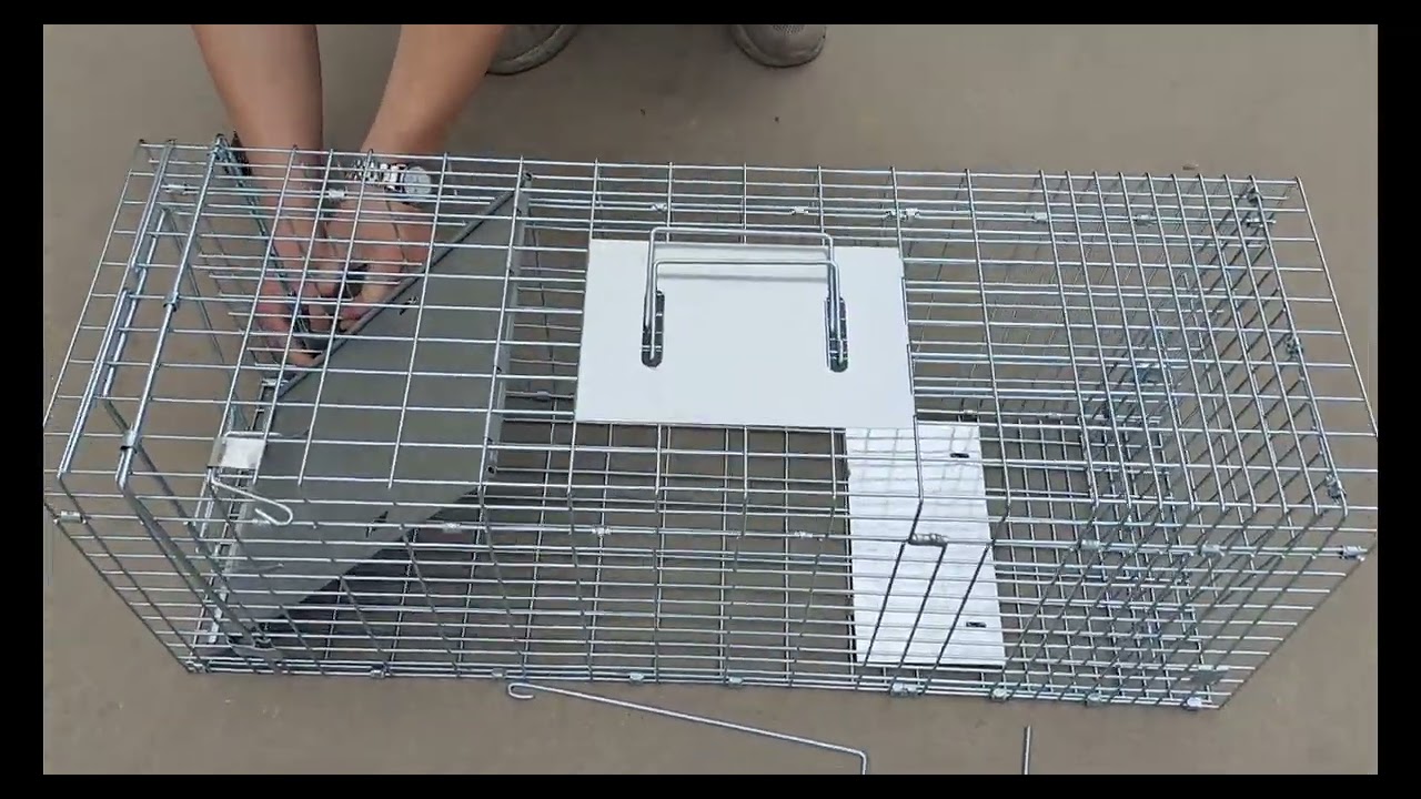 how to install 32 and 24inch live animal trap