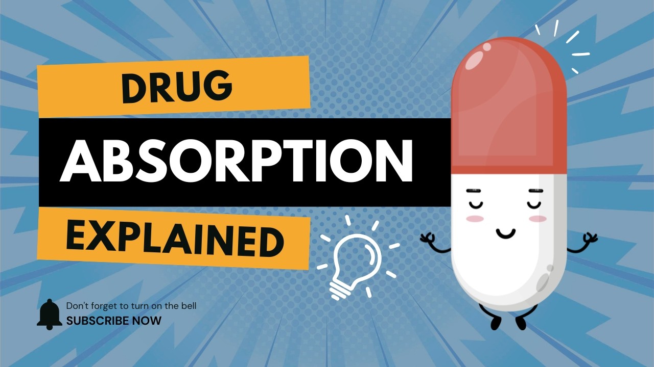 The Bottleneck Problem in Drug Absorption