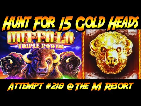 Hunt For 15 Gold Heads! Ep. #218, Buffalo Triple Power at the M Resort Casino in Las Vegas!
