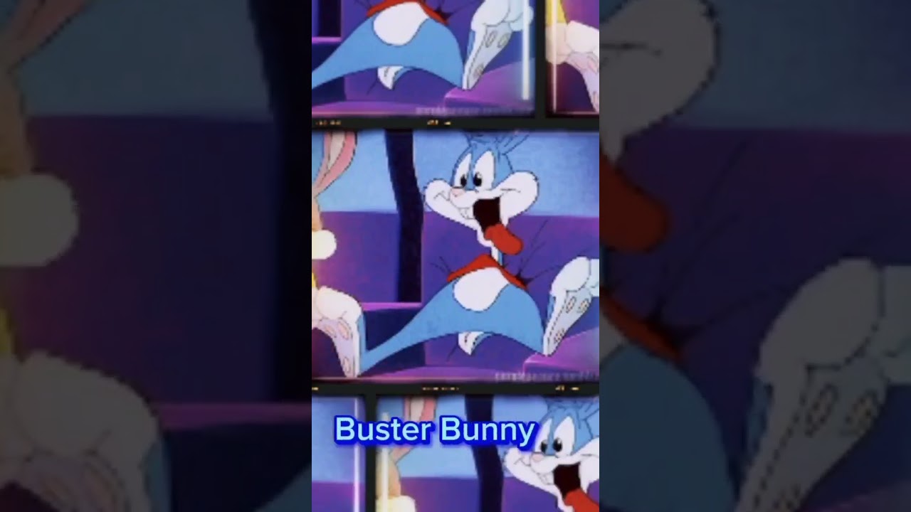 Tiny Toon Adventures (1990-1992)