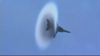 My Name is Eddie Whirlwind - The Backstory of Eddie Whirlwind: The ...