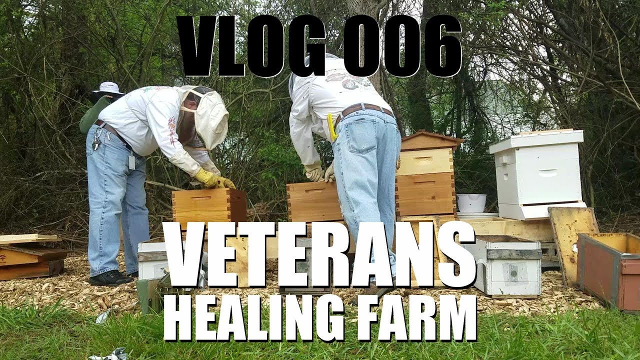 Introduction to Beekeeping Workshop