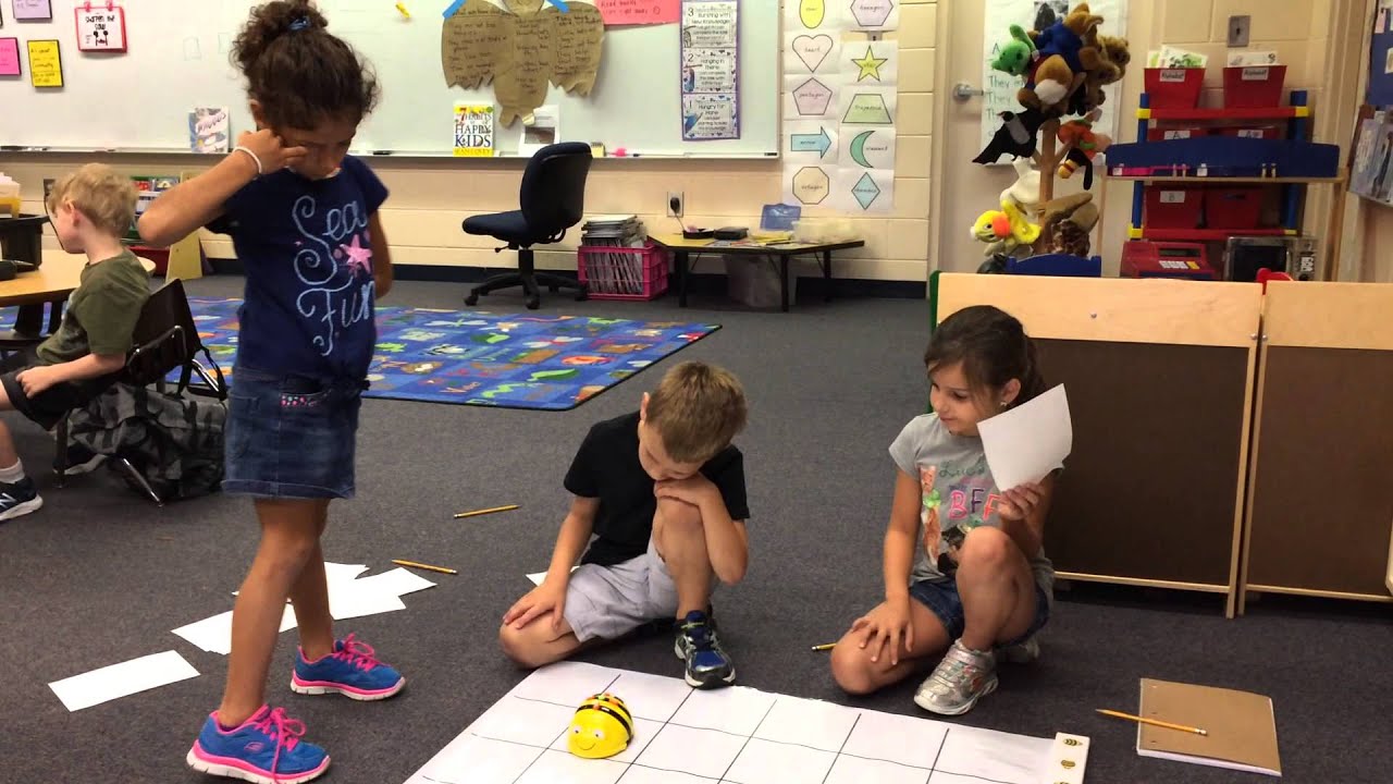 Bee Bot Algorithms in Action
