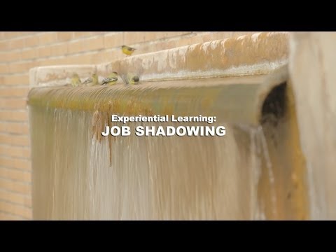 Job Shadowing - Vanessa