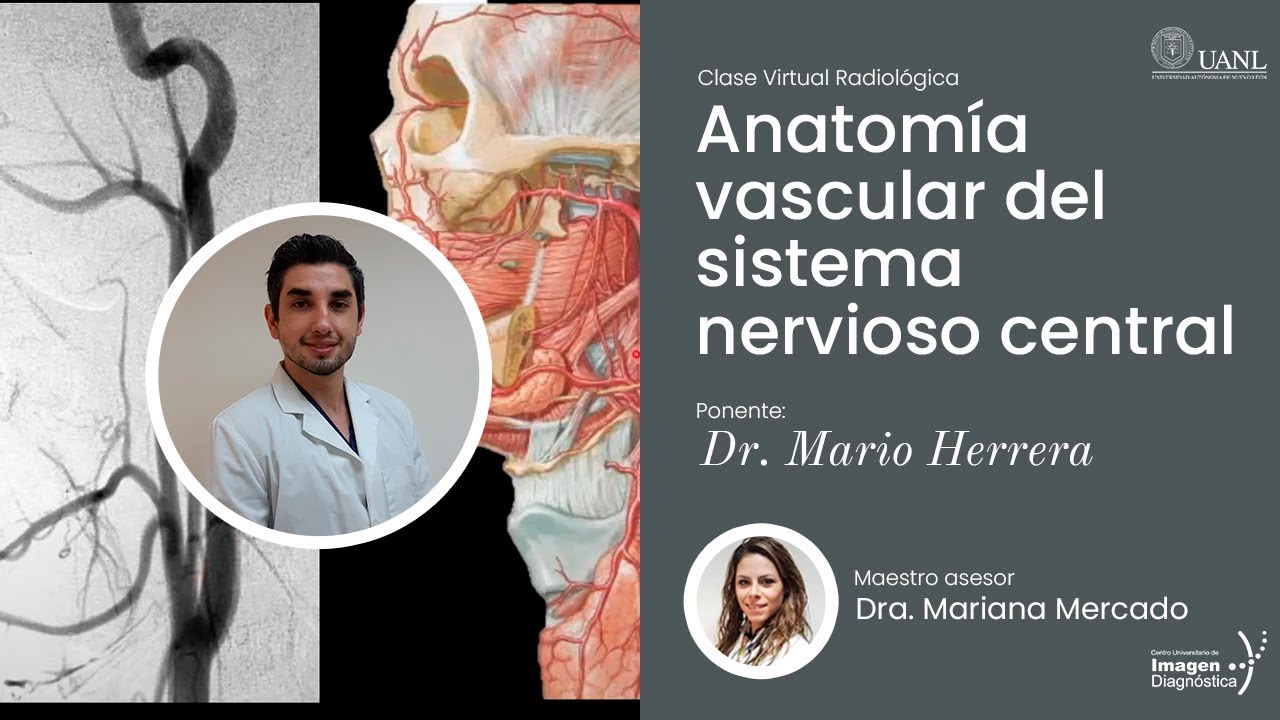 Anatomía vascular del sistema nervioso central por el Dr. Mario Herrera