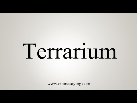How To Say Terrarium