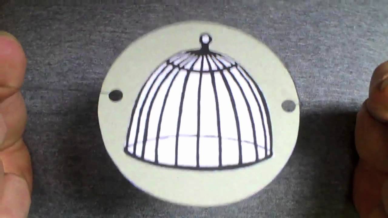 Bird and Cage Thaumatrope