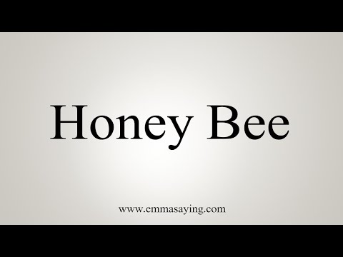 How To Say Honey-Bee