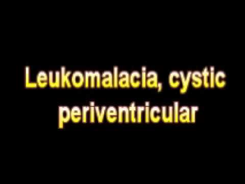 What Is The Definition Of Leukomalacia, cystic periventricular