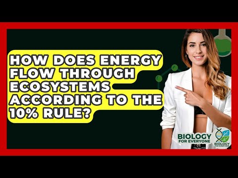 How Does Energy Flow Through Ecosystems According To The 10% Rule? - Biology For Everyone
