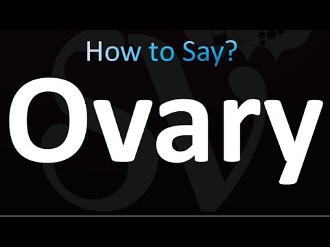 How to Pronounce Ovary (correctly!)