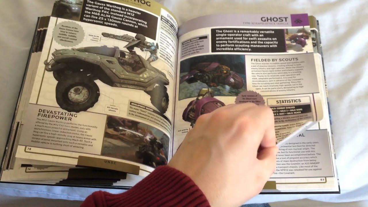 Halo: The Essential Visual Guide