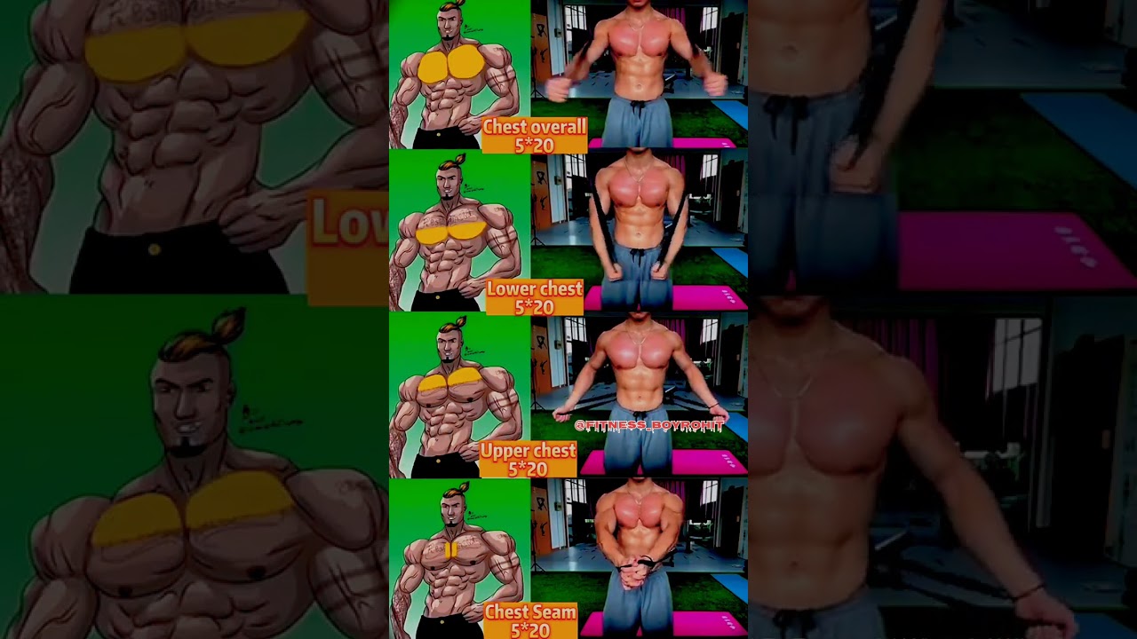 Pin by Top Exercicios Em Casa on Pins criados por você Workout videos Chest workout Best gym workout