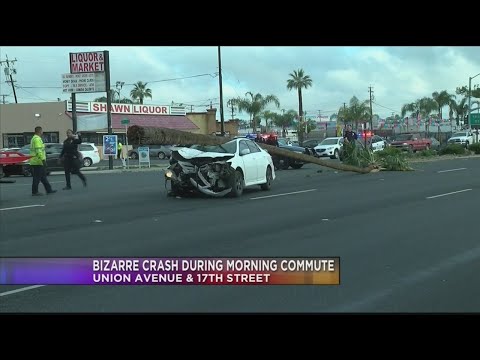 Car crash involving palm tree