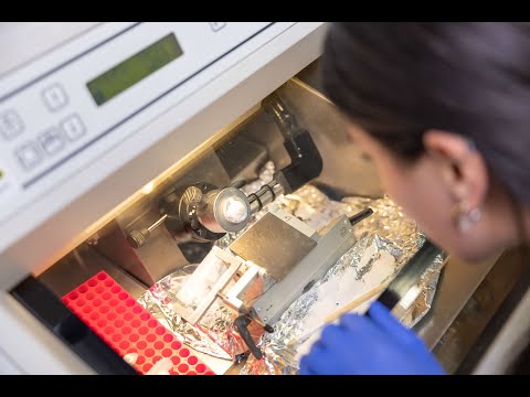 Presentation of NutriNeurO research unit