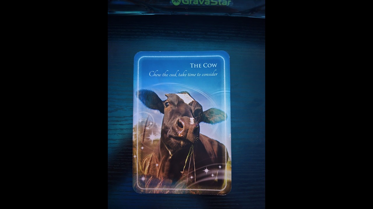 Trisha Talks &  Panel Review Brittney J 21st April 2026 Part 2.