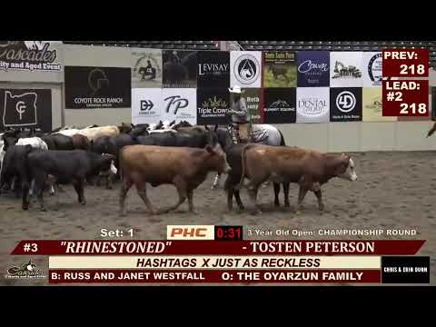 3 Yo Open Champions - 2024 Cascades Futurity