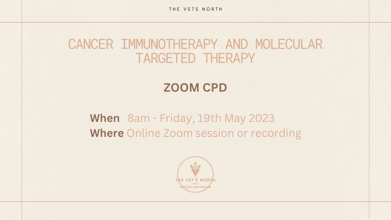 Cancer Immunotherapy and Molecular Targeted Therapy